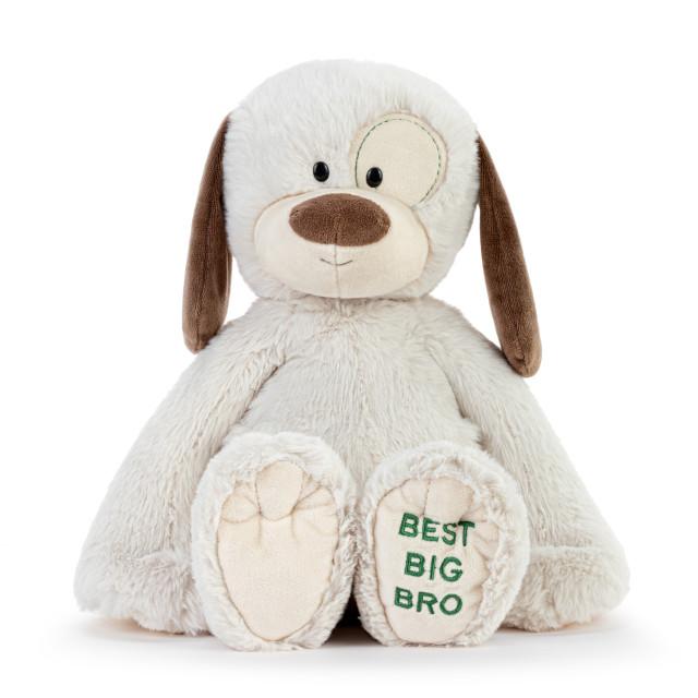 Best Big Bro Plush Dog – Darling State of Mind