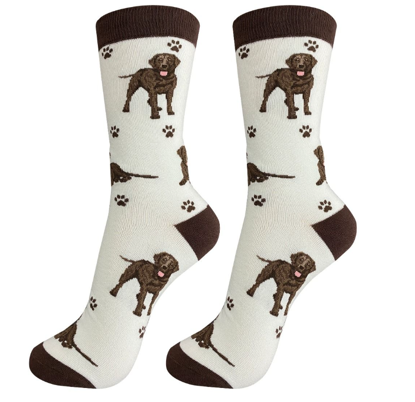 Chocolate Labrador Socks – Darling State of Mind